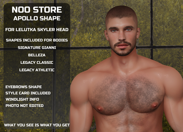 Second Life Marketplace - [NOO] Apollo shape - lelutka skyler head